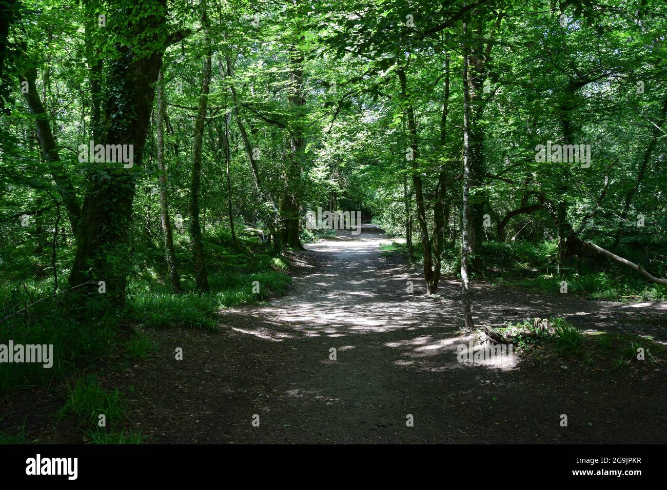 Respryn bridge hi-res stock photography and images - Alamy