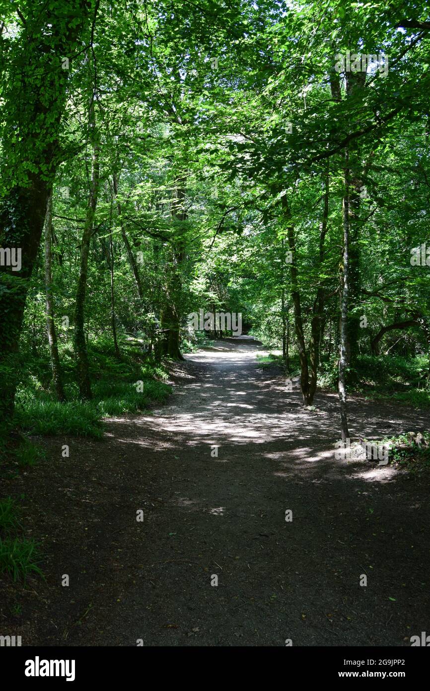 Respryn bridge hi-res stock photography and images - Alamy