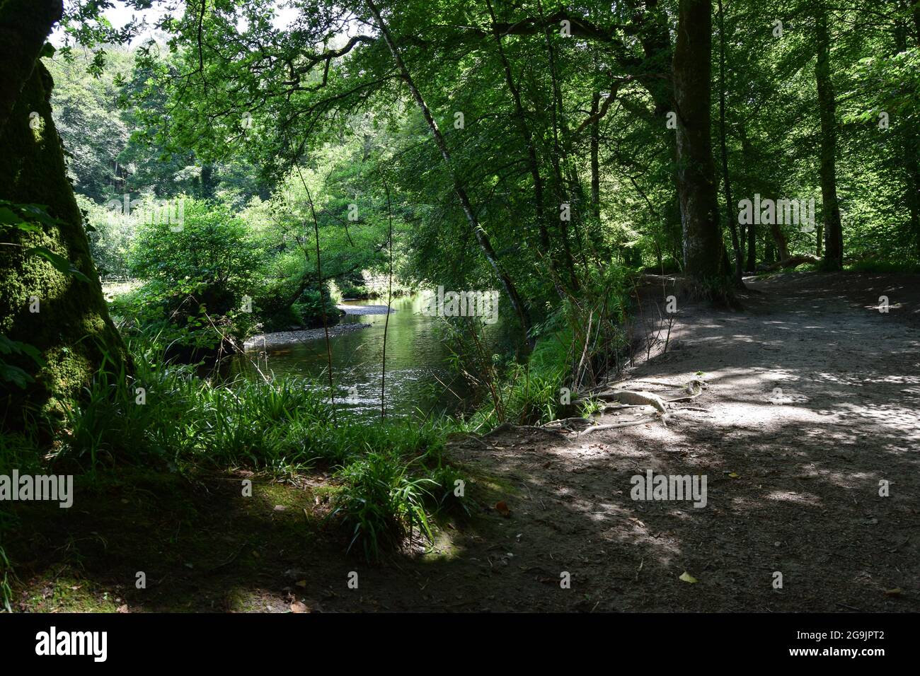 Respryn bridge river fowey hi-res stock photography and images - Alamy