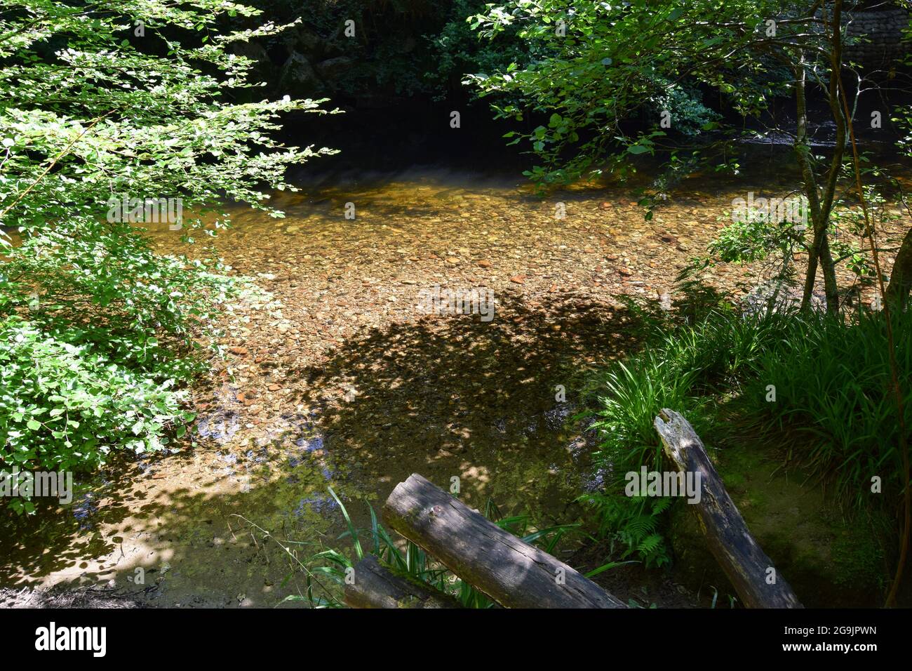 Respryn bridge river fowey hi-res stock photography and images - Alamy