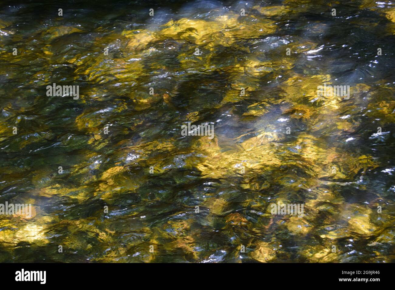 Respryn bridge river fowey hi-res stock photography and images - Alamy