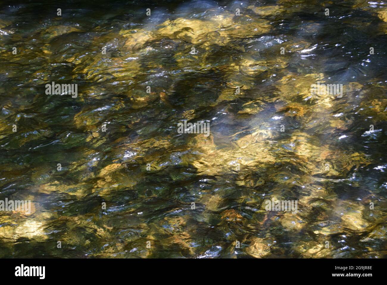 Respryn bridge river fowey hi-res stock photography and images - Alamy