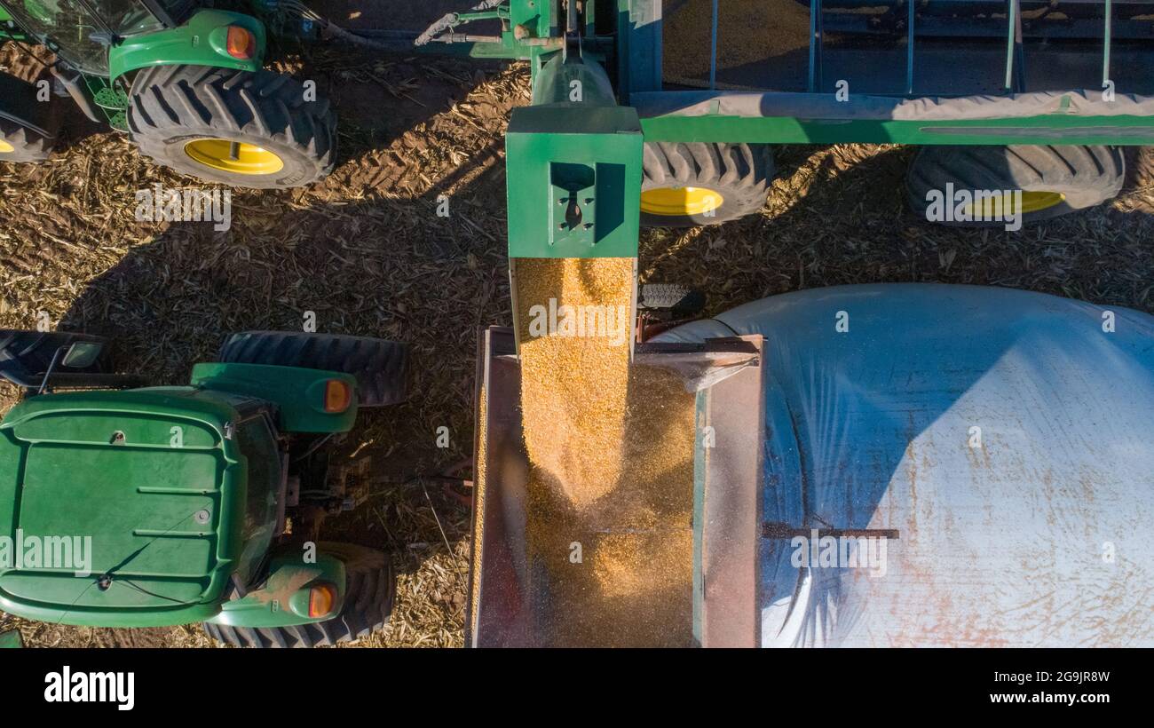 Aerial view of unloading corn grain into tractor trailer after harvest ...