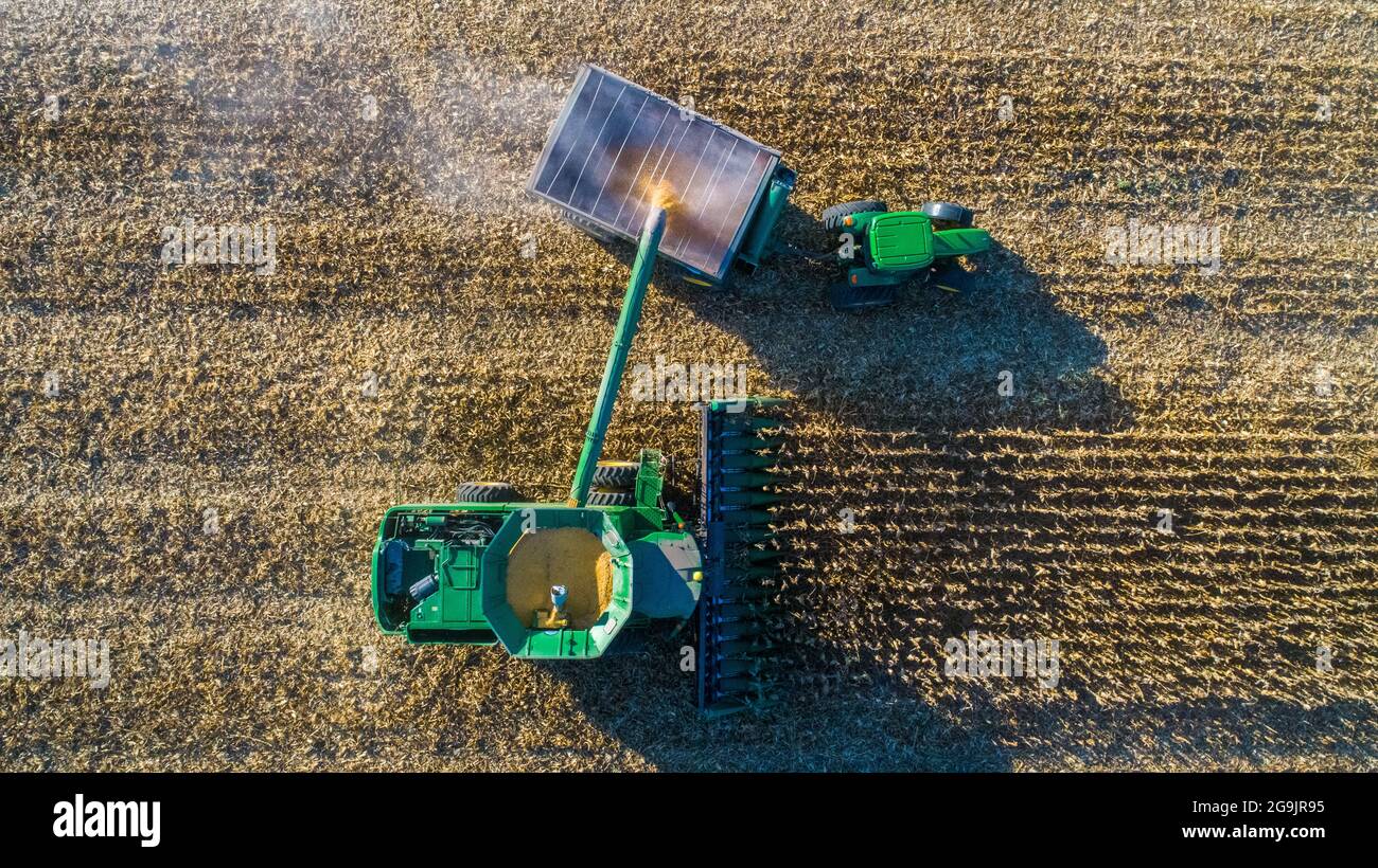 Aerial view of unloading corn grain into tractor trailer after harvest ...