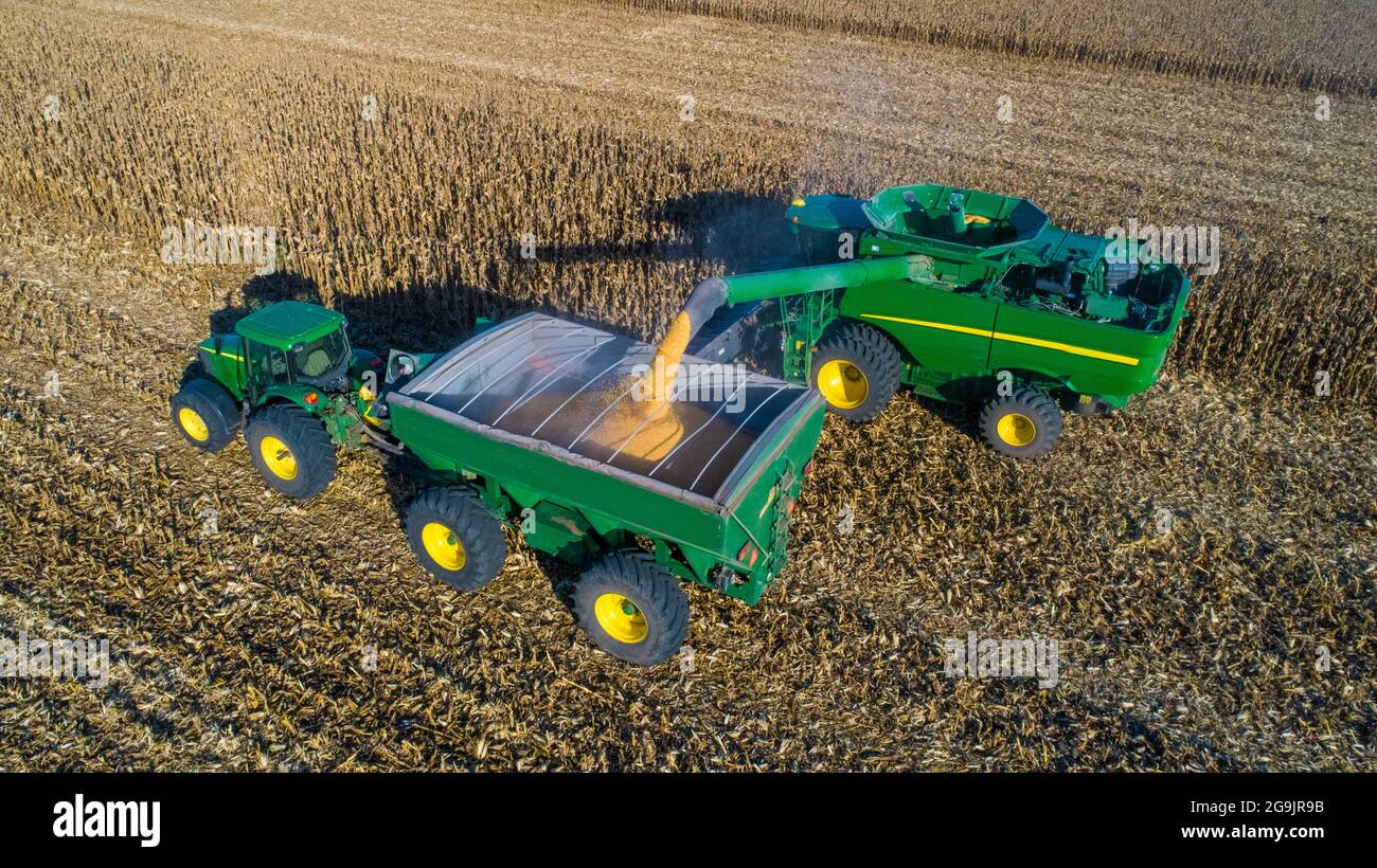 Aerial view of unloading corn grain into tractor trailer after harvest ...