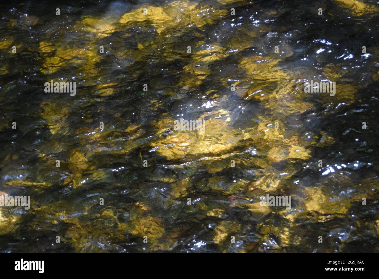 Respryn bridge river fowey hi-res stock photography and images - Alamy