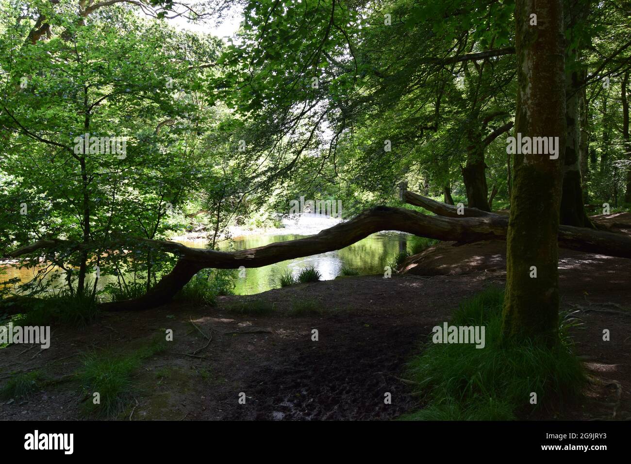 Respryn bridge hi-res stock photography and images - Alamy