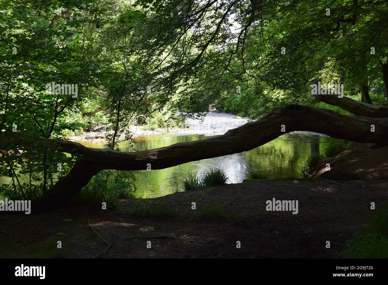 Respryn bridge river fowey hi-res stock photography and images - Alamy