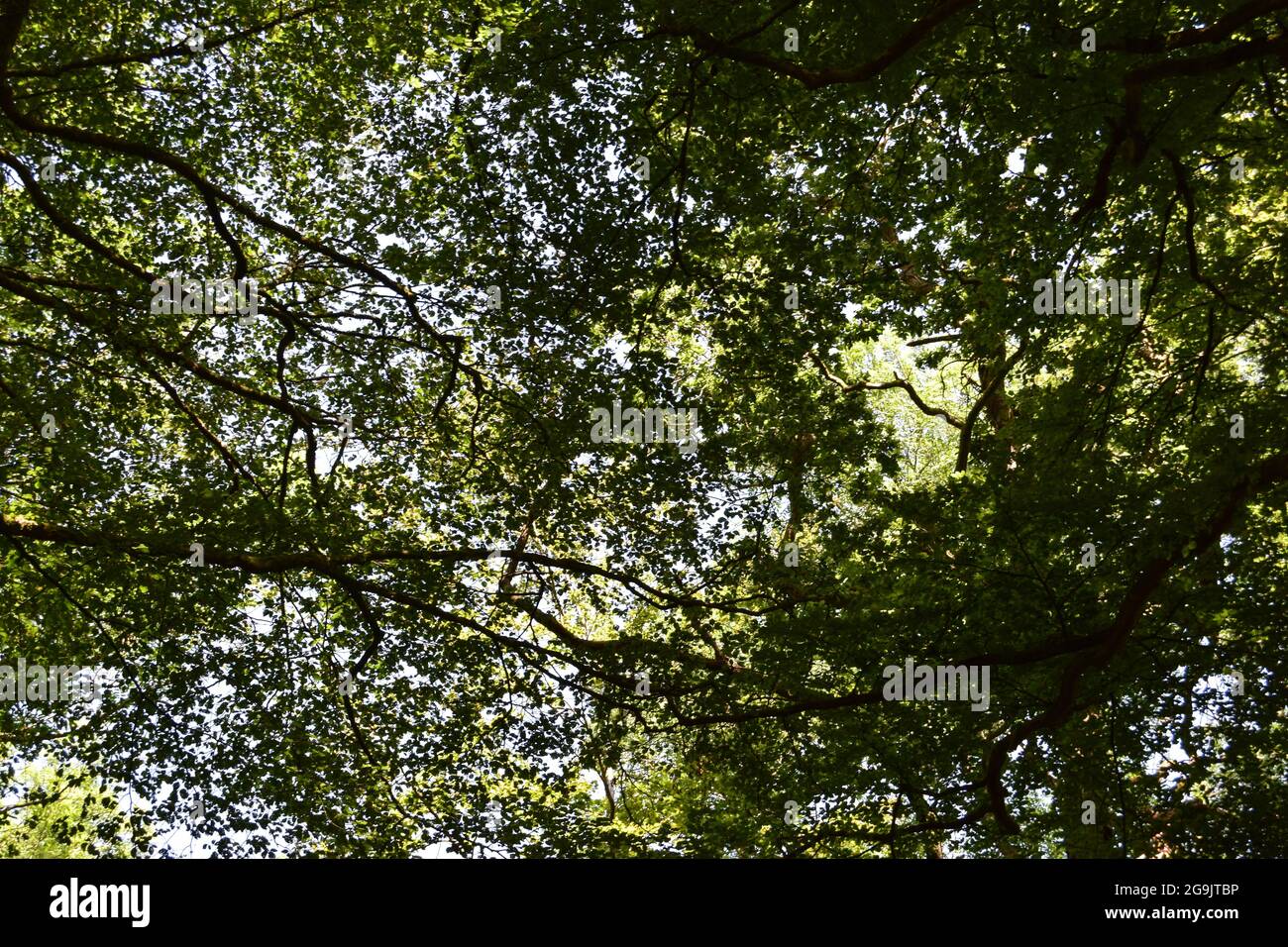 Respryn bridge hi-res stock photography and images - Alamy