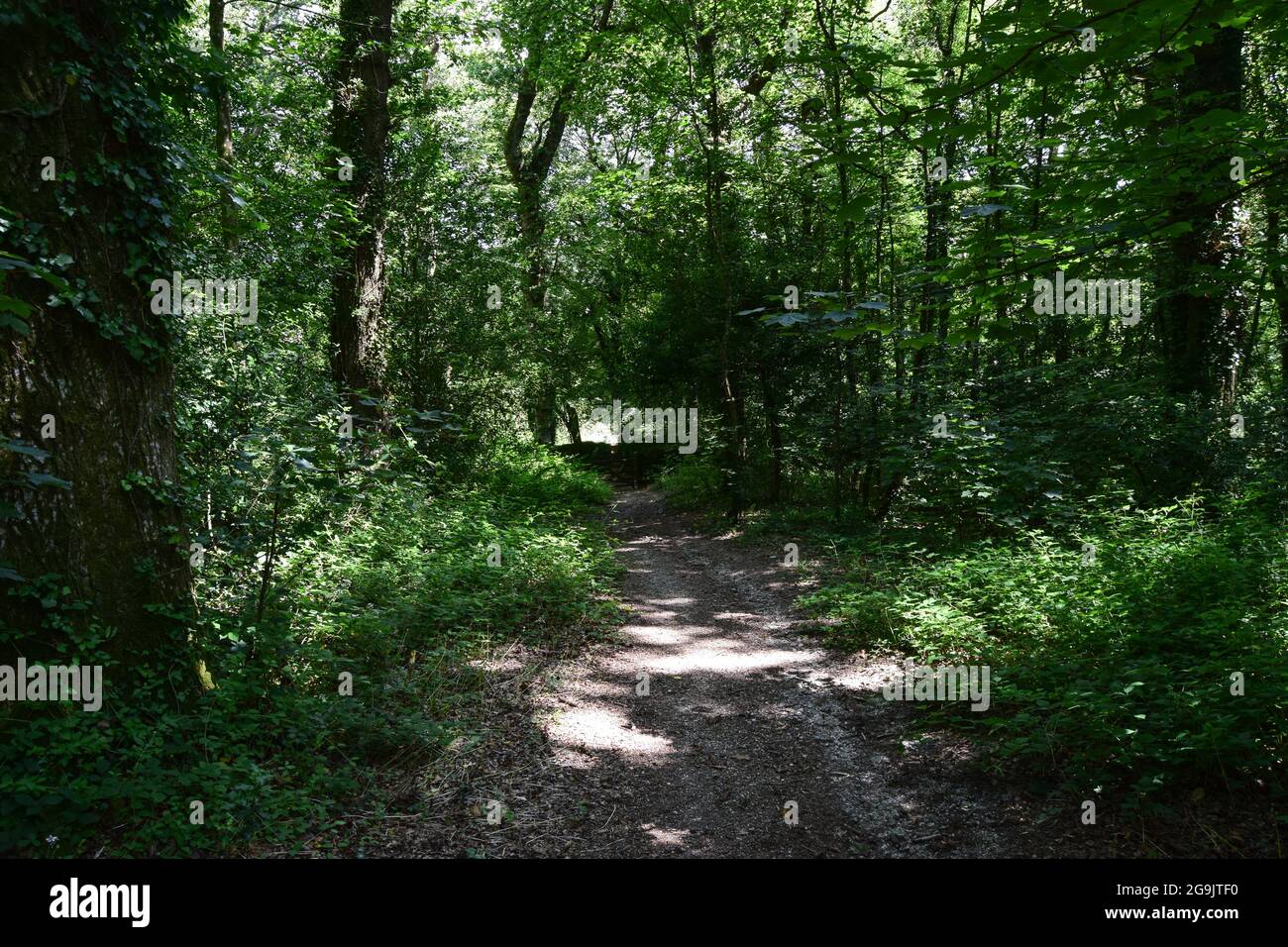 Respryn bridge river fowey hi-res stock photography and images - Alamy