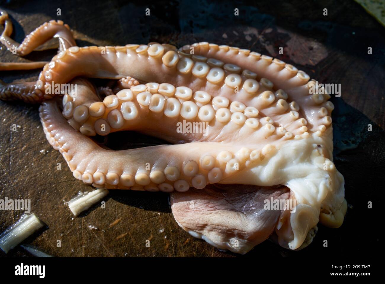 Close-up of tentacles of a fresh raw octopus on a cutting board Stock ...