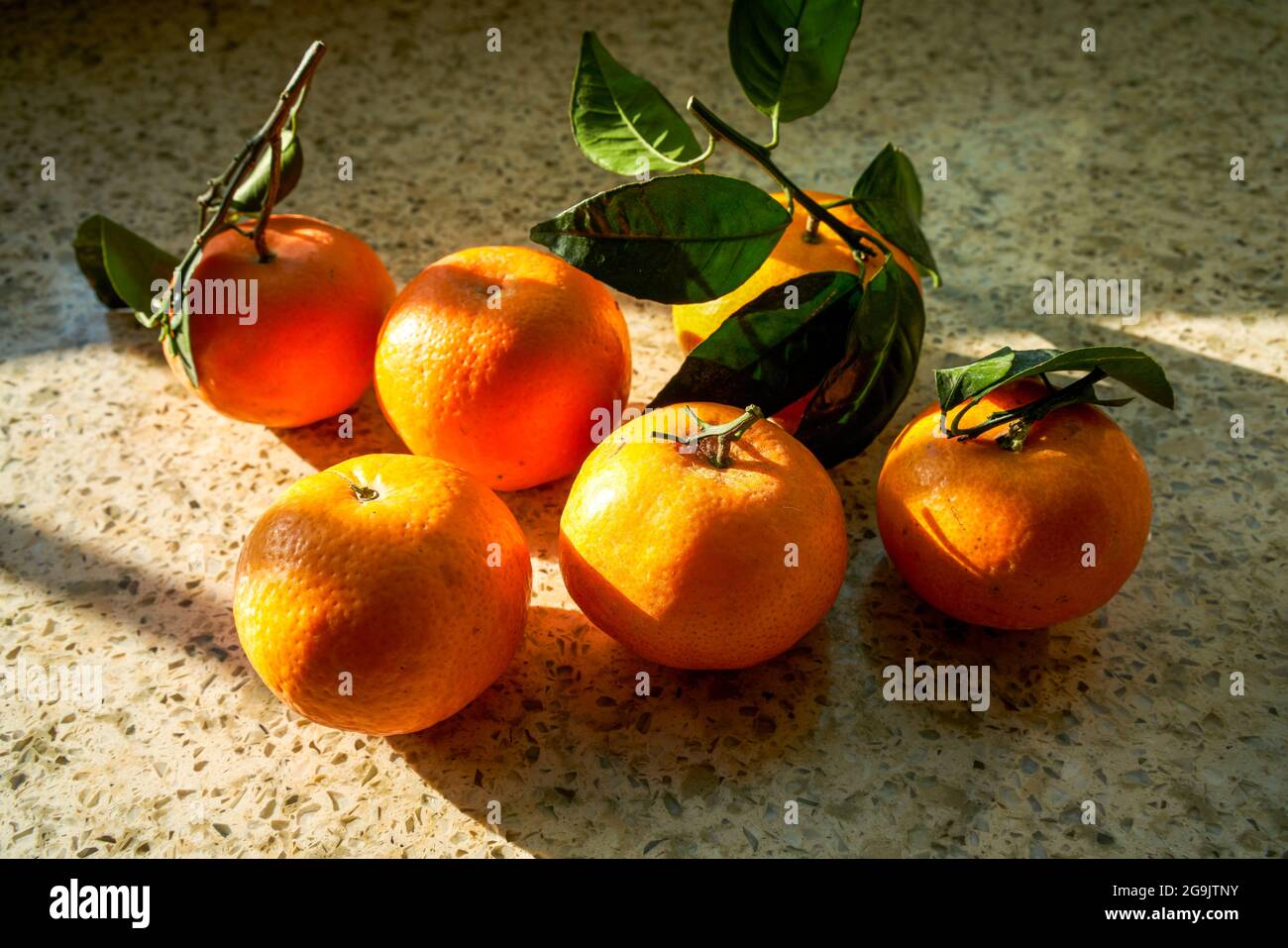 Close-up of a bunch of oranges in the sun Stock Photo - Alamy
