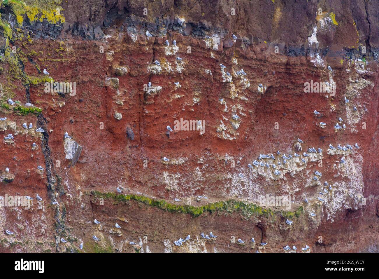 Red coloured Krisuvikuberg cliffs, Hafnarfjoerour, Hoefuoborgarsvaeoio ...