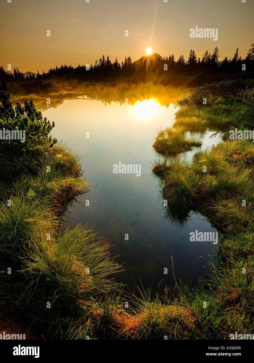 Sunrise at the moor lake in Loeckermoos, also Loeckernmoos, high moor ...