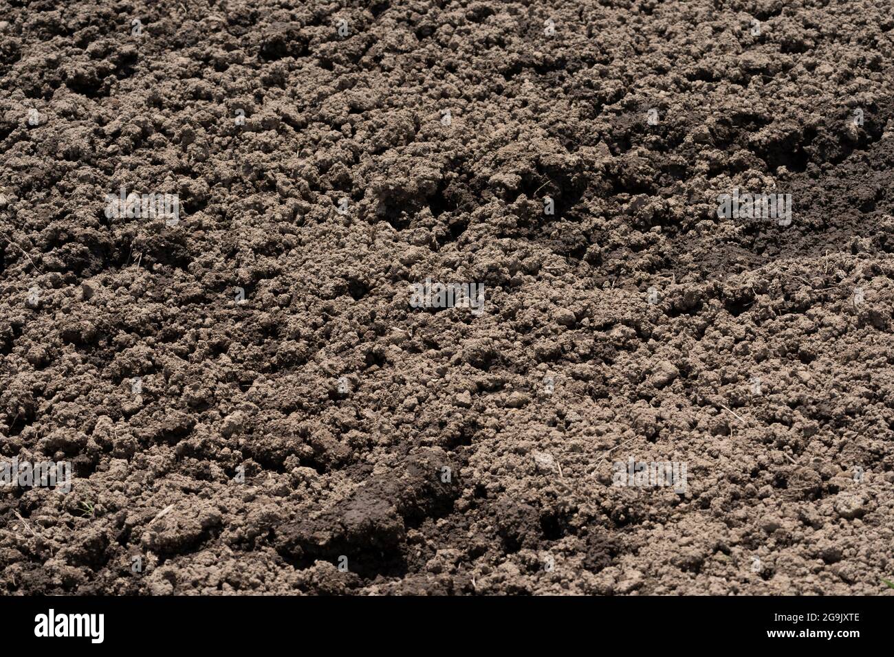 Mud of rice field in June, just before rice planting, Isehara City ...