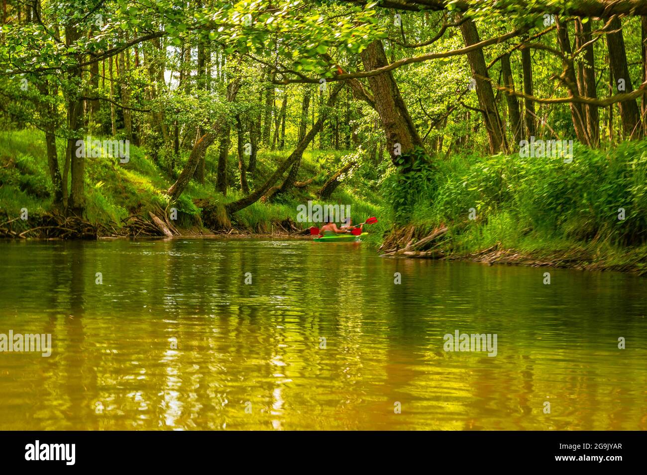The bank of the Brda river near the village of Sapolno. Kashubia ...