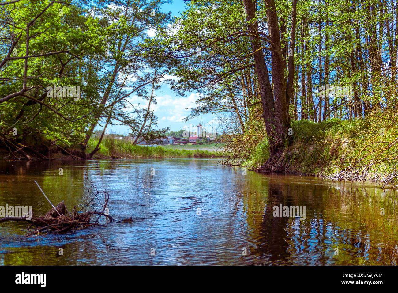 The bank of the Brda river near the village of Sapolno. Kashubia ...