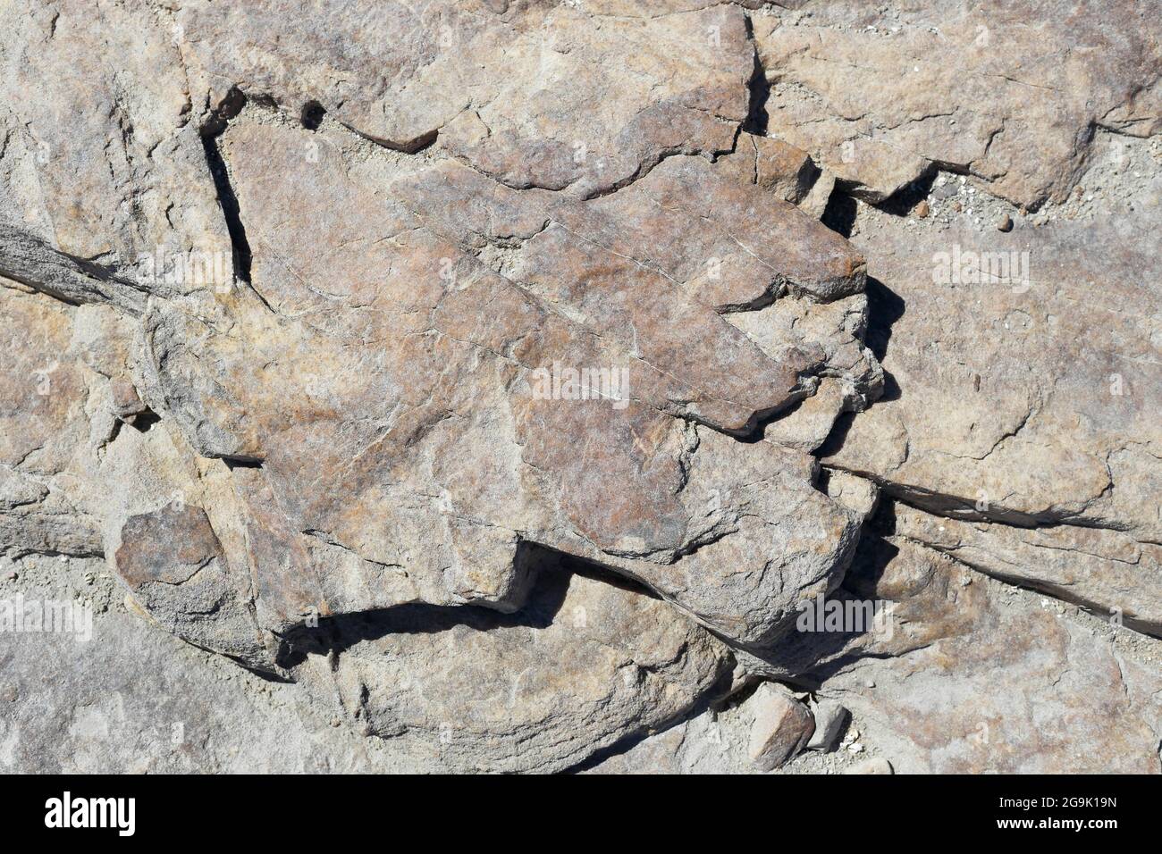 Stone pattern in a dry riverbed, Saint Lawrence River, Province of ...