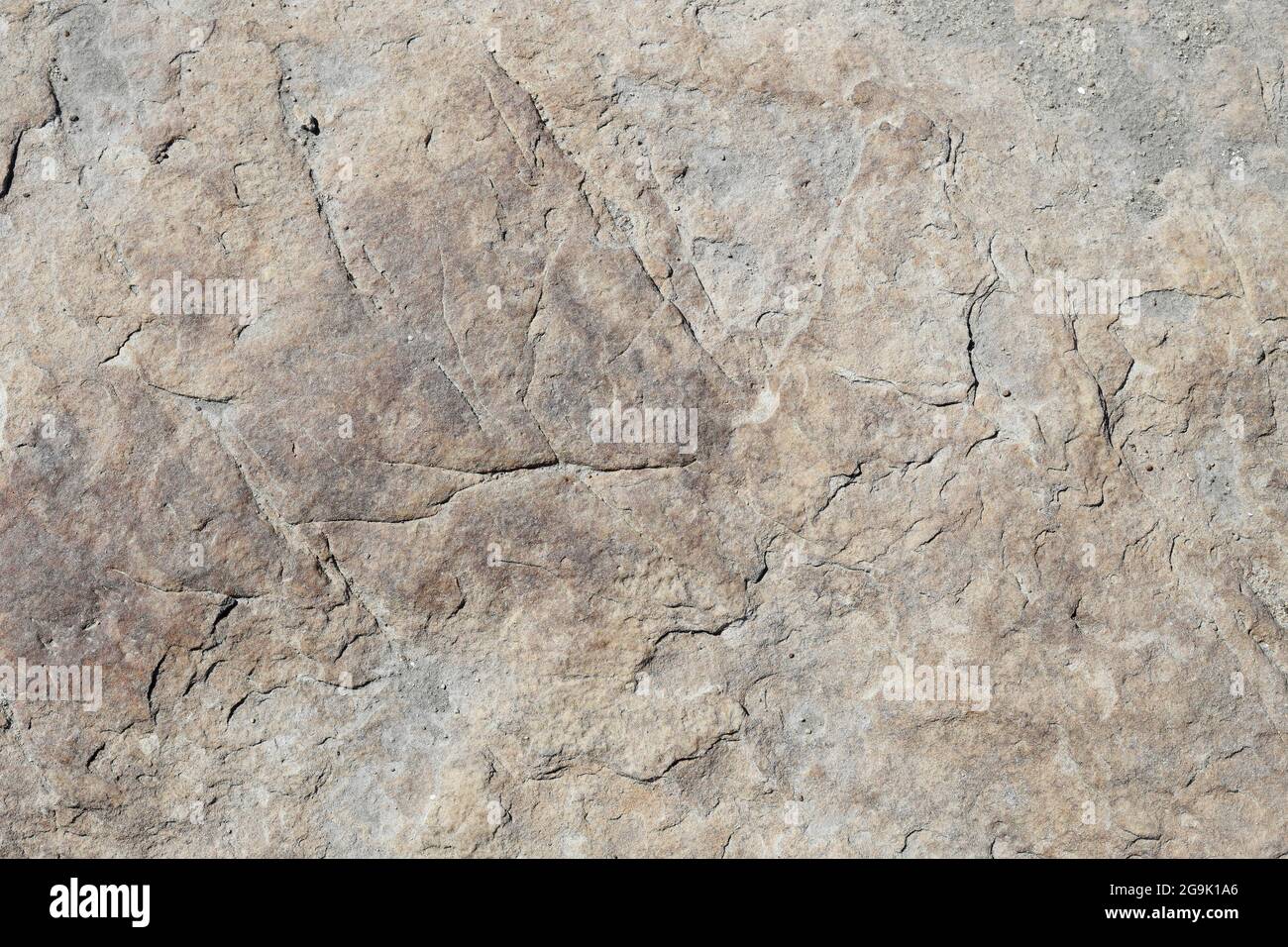 Stone pattern in a dry riverbed, Saint Lawrence River, Province of ...