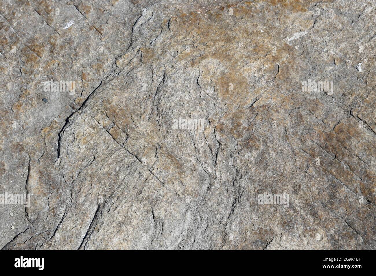 Stone pattern in a dry riverbed, Saint Lawrence River, Province of ...