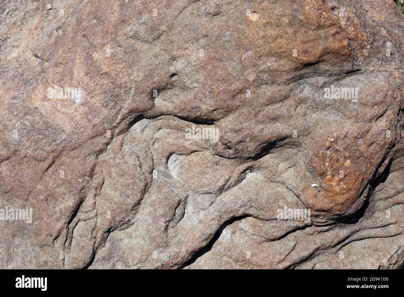Stone pattern in a dry riverbed, Saint Lawrence River, Province of ...