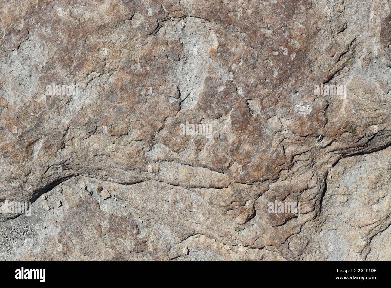 Stone pattern in a dry riverbed, Saint Lawrence River, Province of ...