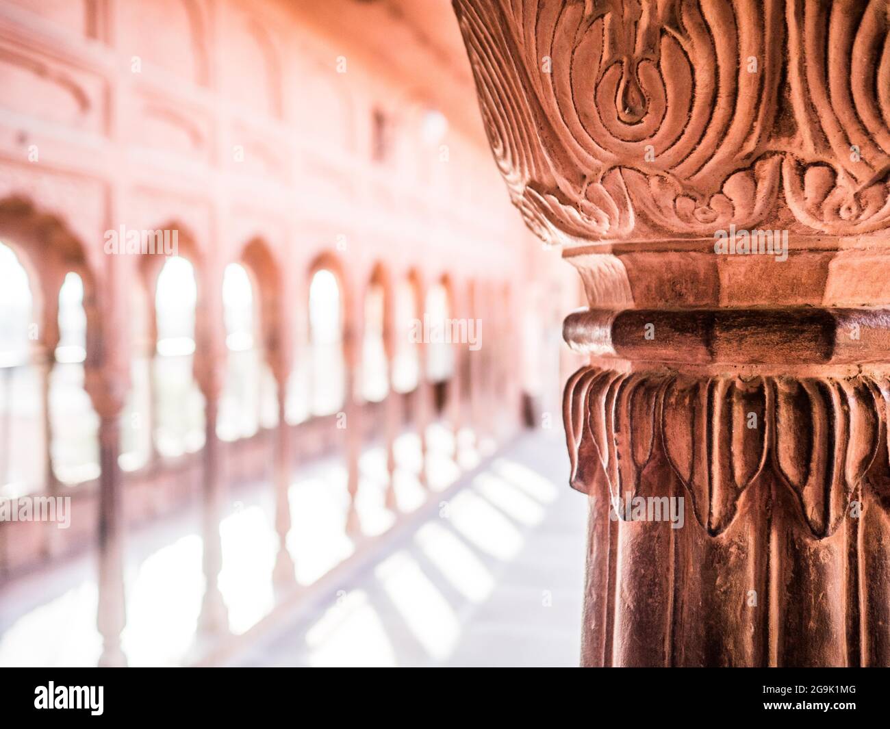 Decorative stone pillars, Junagarh Fort, Rajasthan, India Stock Photo ...