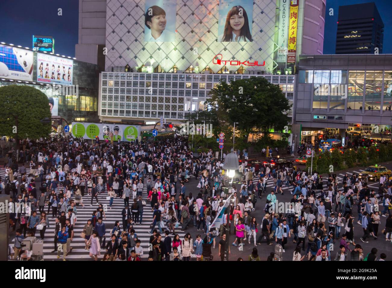 Shibuya crossing busiest road crossing in the world, Tokyo, Japan Stock Photo - Alamy