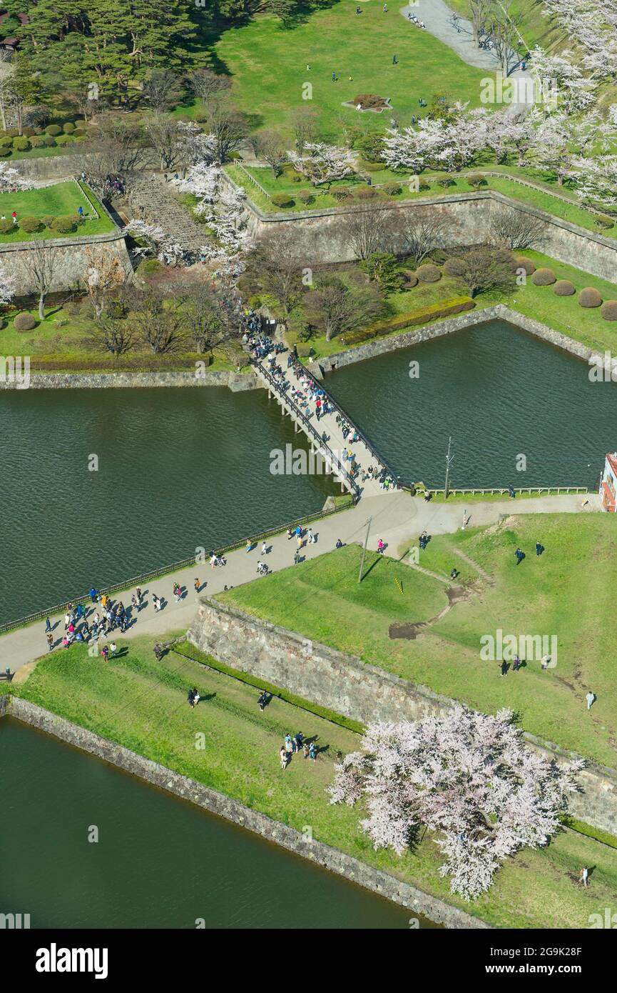 Star shaped Fort Goryokaku in the cherry blossom, Hakodate, Hokkaido ...