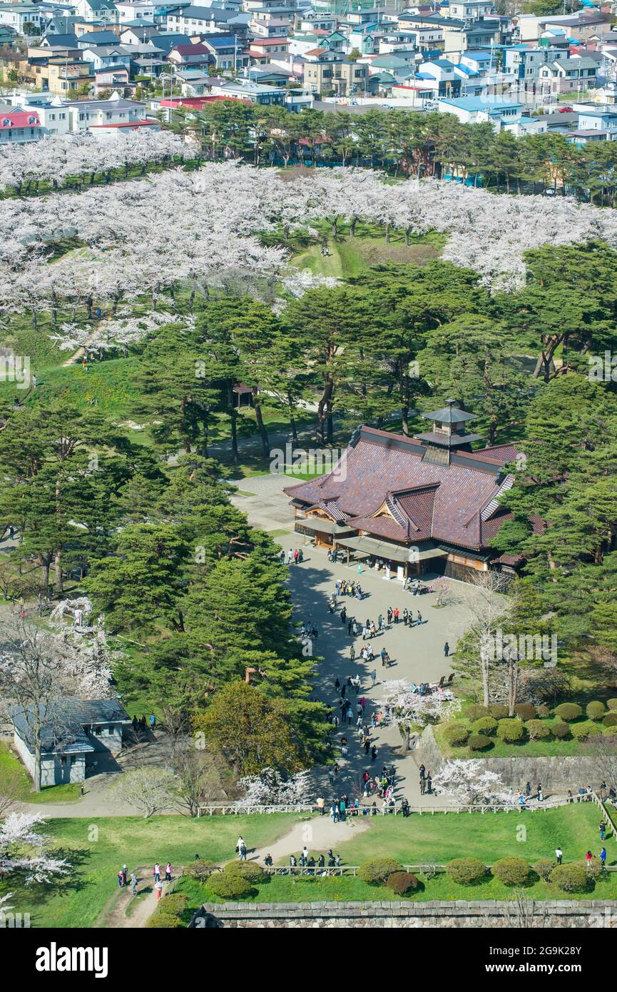 Star shaped Fort Goryokaku in the cherry blossom, Hakodate, Hokkaido ...