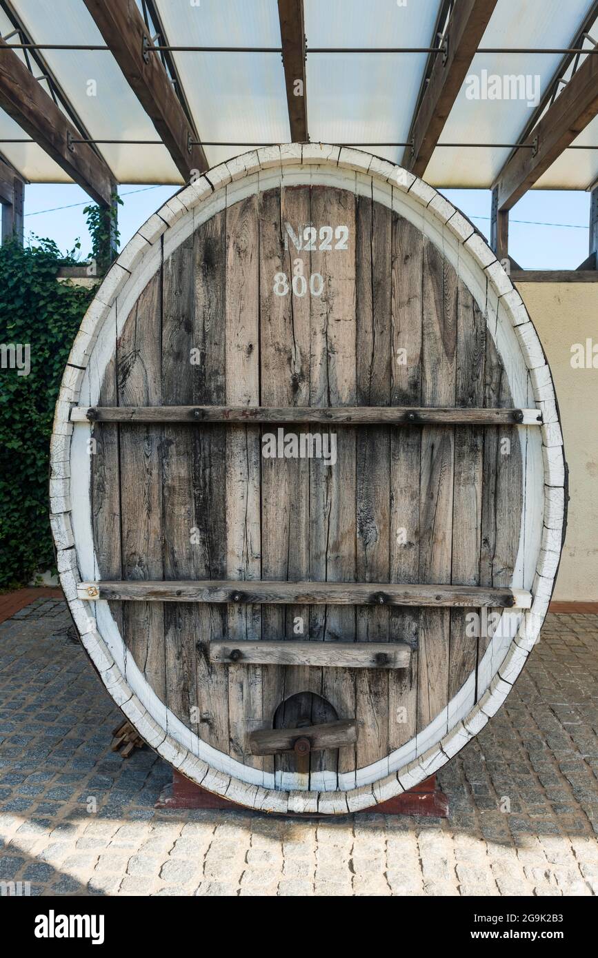 Old barrels in the Shabo winery, Black sea, Ukraine Stock Photo - Alamy
