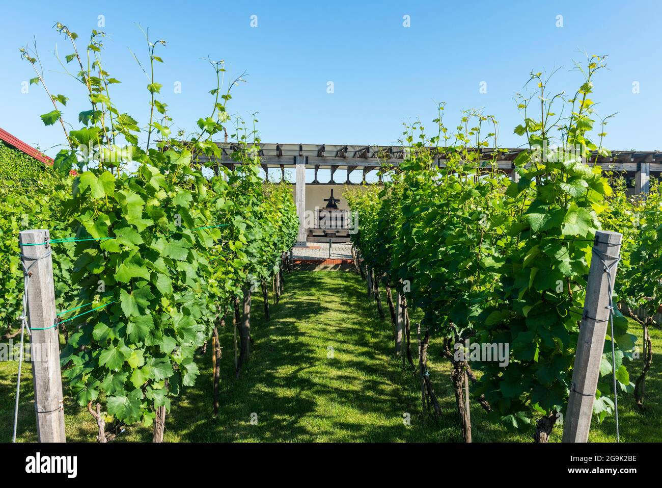 Shabo winery hi-res stock photography and images - Alamy