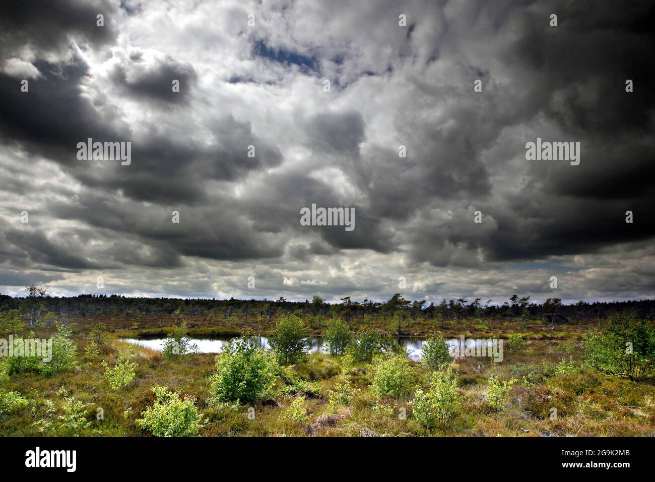 Moor Eye, dramatic moor landscape Black Moor, raised bog on the High ...