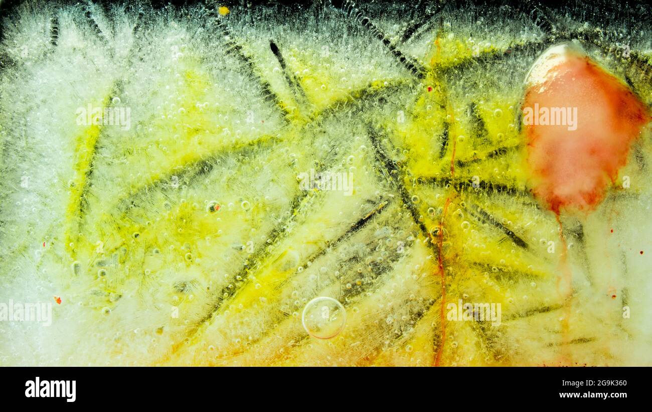 Ice plate hi-res stock photography and images - Alamy