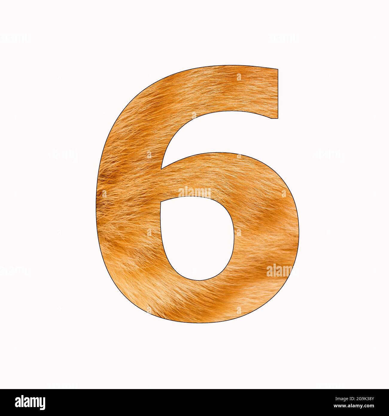 Number 6 (six) - Yellow cat fur background Stock Photo - Alamy