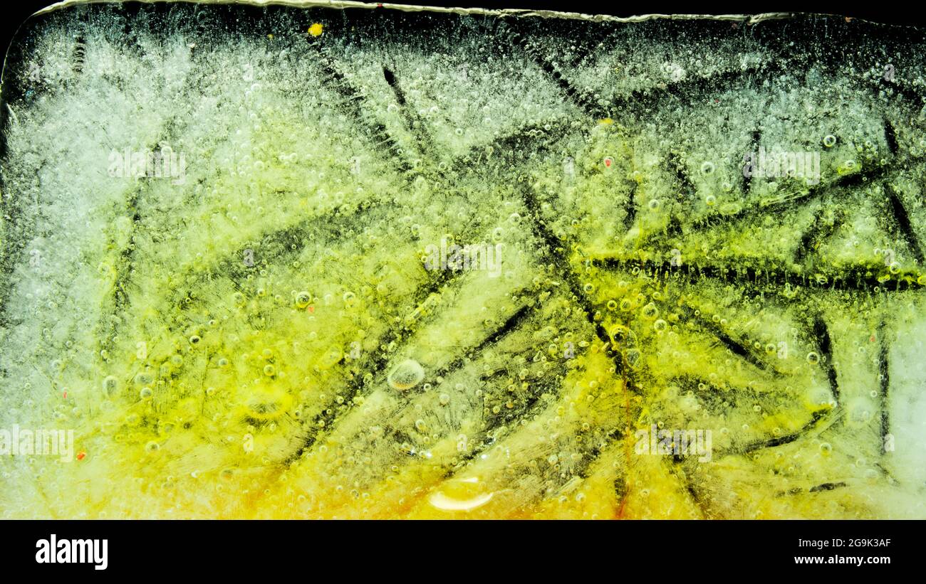 Yellow ice plate melting Stock Photo - Alamy