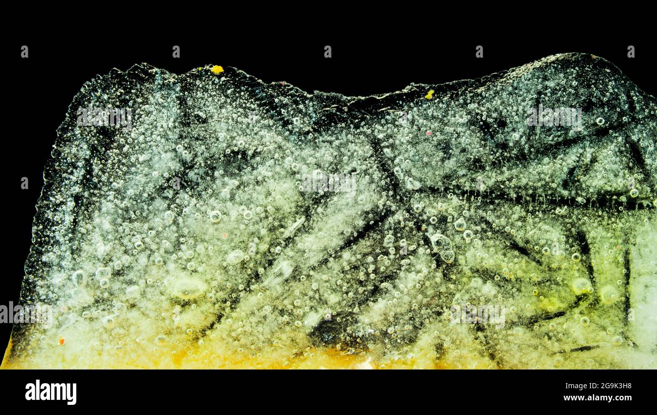 Yellow ice plate melting Stock Photo - Alamy