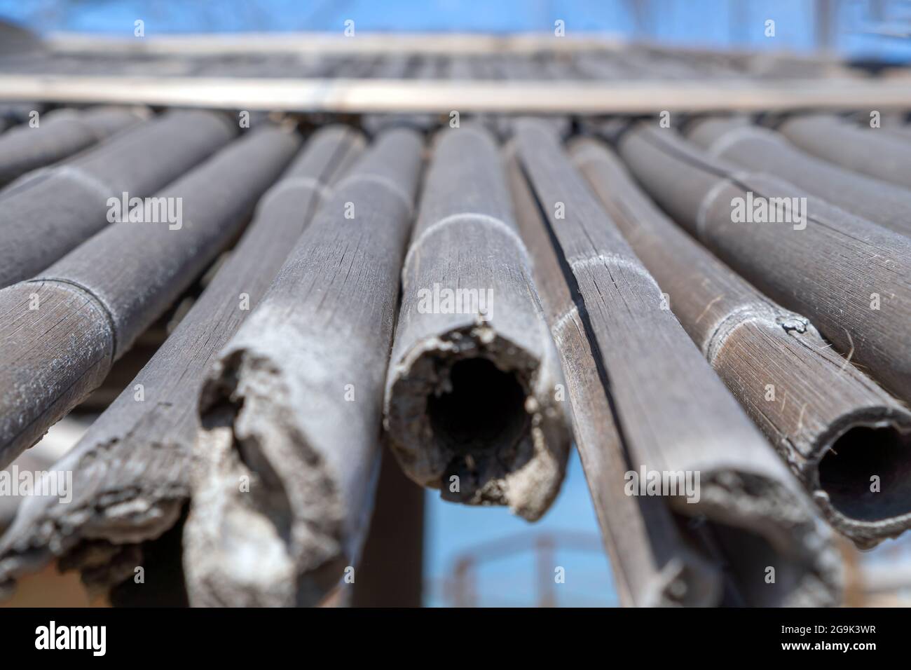 Dry trunks of reeds close-up. Roof flooring made of natural material ...