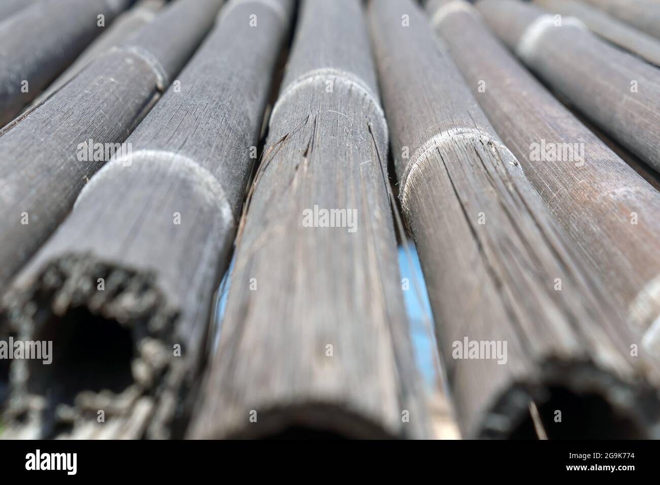 Dry trunks of reeds close-up. Roof flooring made of natural material ...