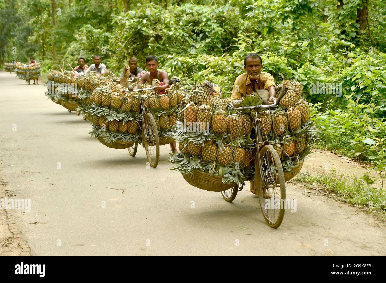 Tangail. 26th July, 2021. Farmers deliver pineapples to a wholesale ...