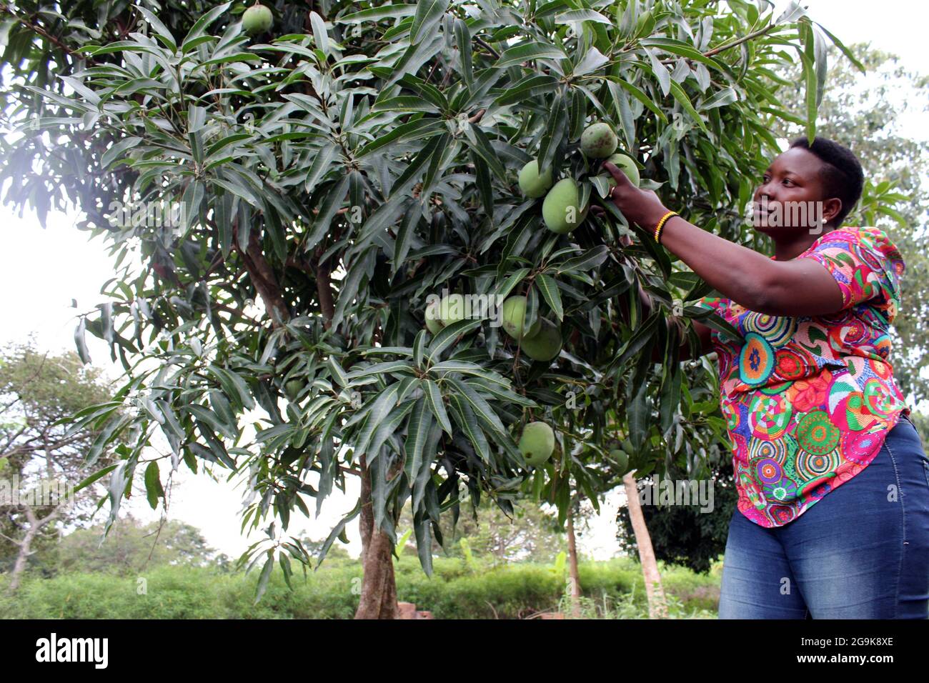 (210727) -- SOROTI, July 27, 2021 (Xinhua) -- Grace Omuron inspects ...