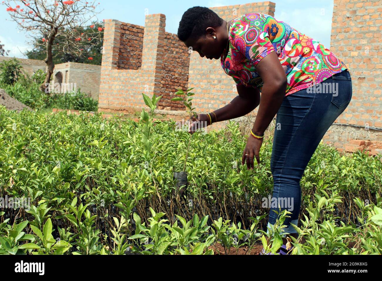 (210727) -- SOROTI, July 27, 2021 (Xinhua) -- Grace Omuron checks out ...