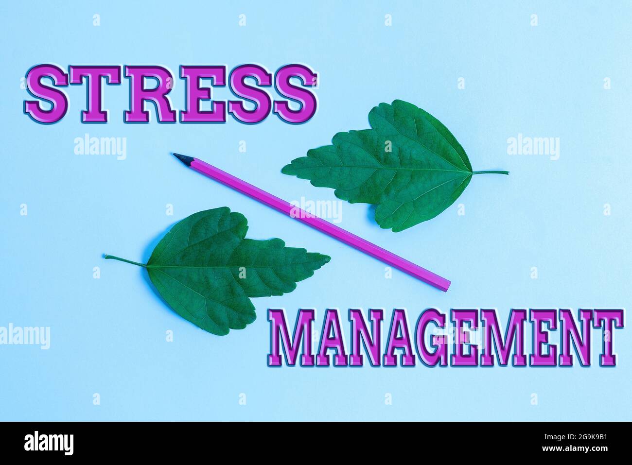 Writing displaying text Stress Management. Business concept method of ... Writing displaying text Stress Management. Business concept method of ...
