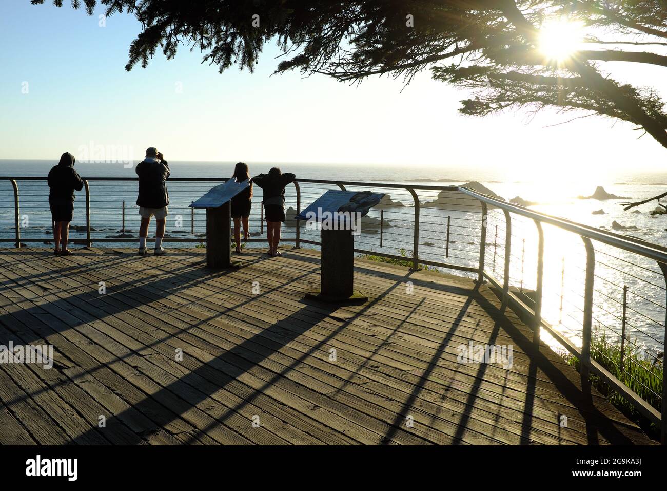 People observe the numerous seals that inhabit Simpson Reef on Cape ...