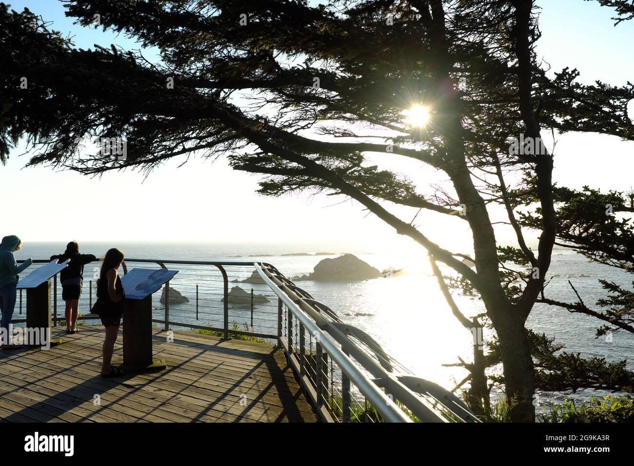 People observe the numerous seals that inhabit Simpson Reef on Cape ...