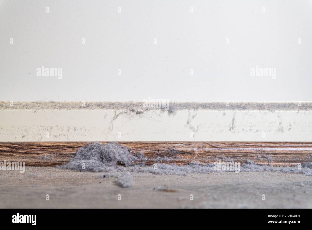 Layer of dust with hairs under the bed inside a house Stock Photo - Alamy