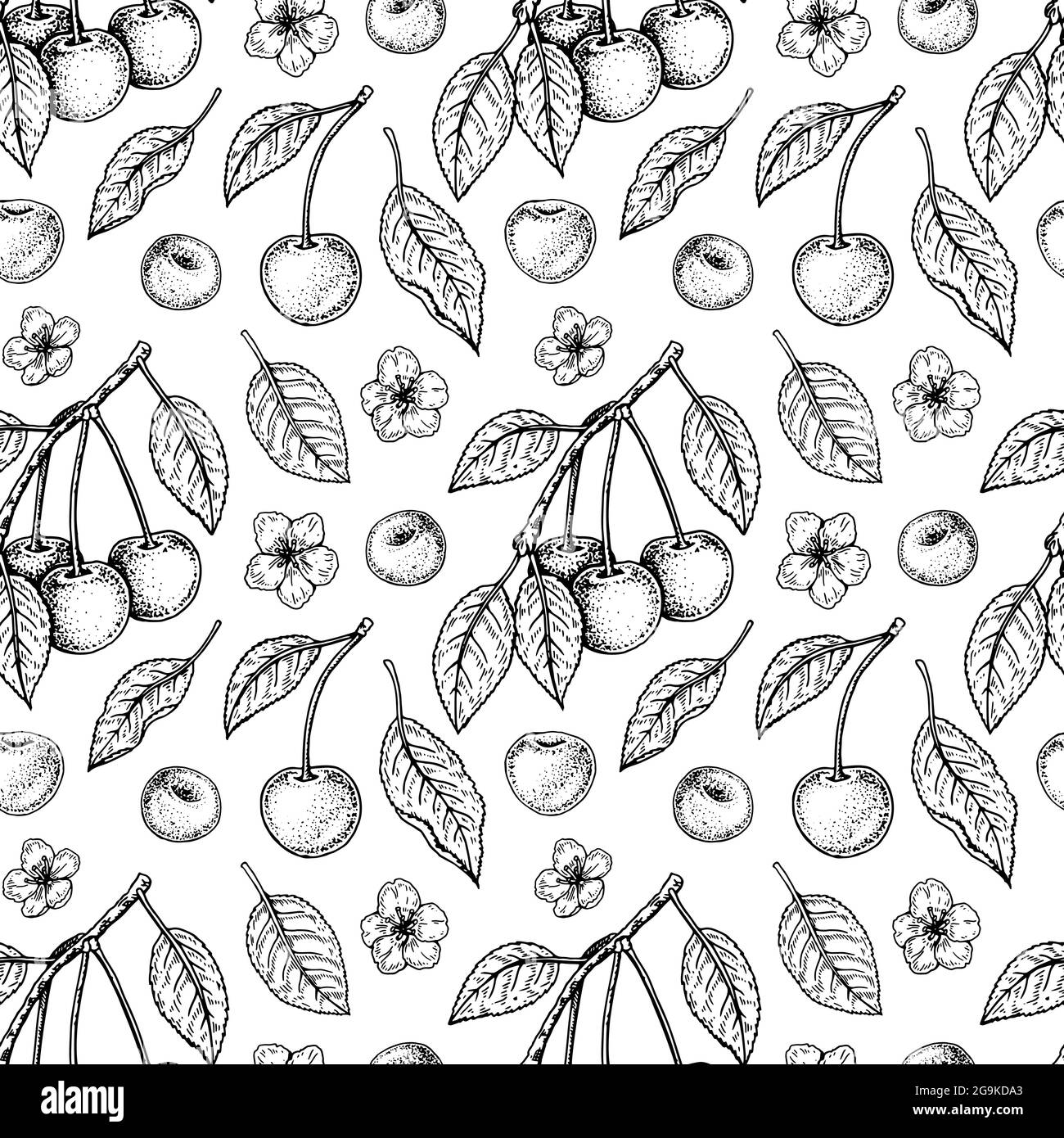 Hand drawn cherry seamless pattern. Vector illustration in sketch style ...