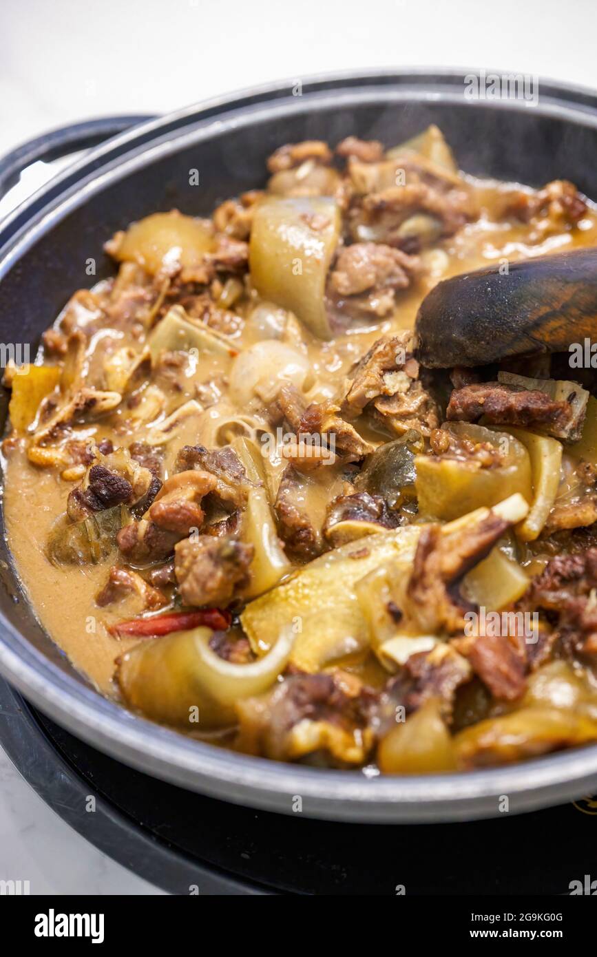 Chicken turtle hi-res stock photography and images - Alamy