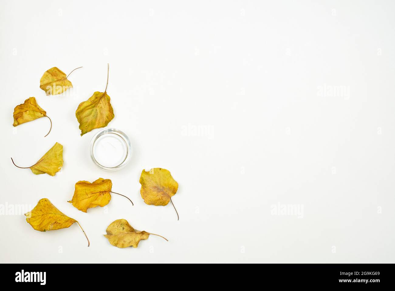 Autumn cream and fall leaves on white. Facial moisturizing cream over ...