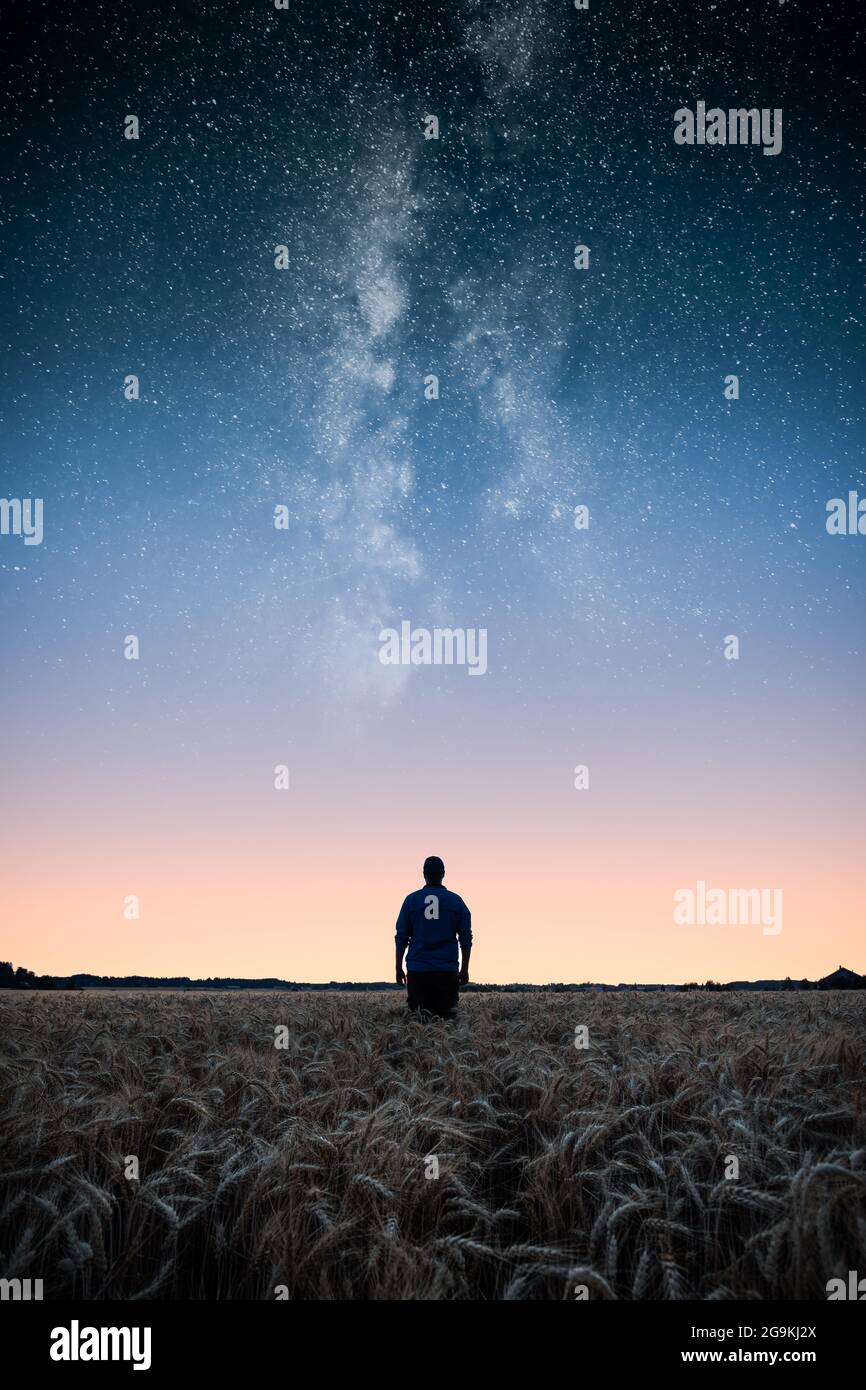 Man standing on wheat field under the stars of the milky way at night ...